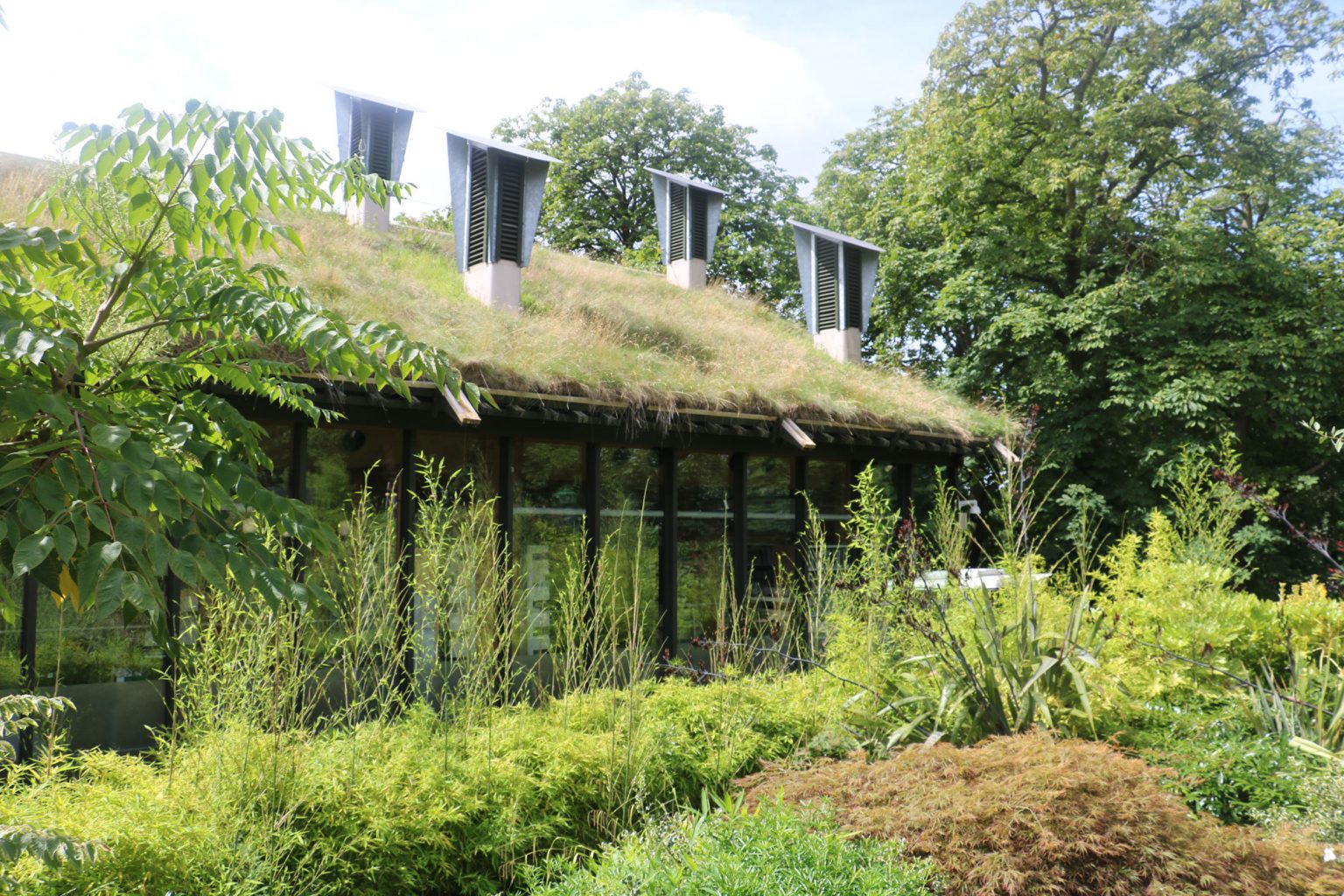 Our history - Horniman Museum and Gardens