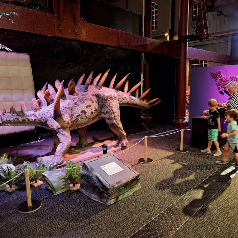 What's On - Horniman Museum and Gardens
