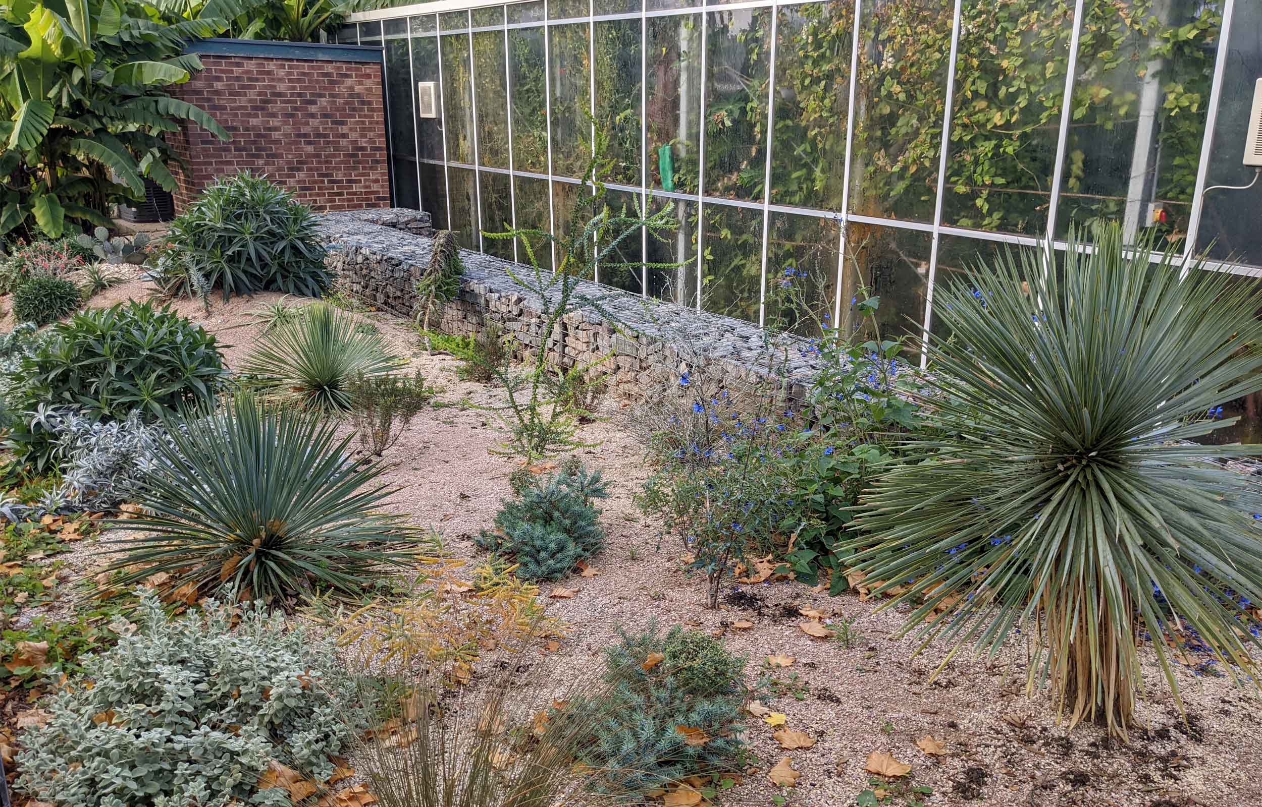 Gardening in Response to Climate Change - Horniman Museum and Gardens