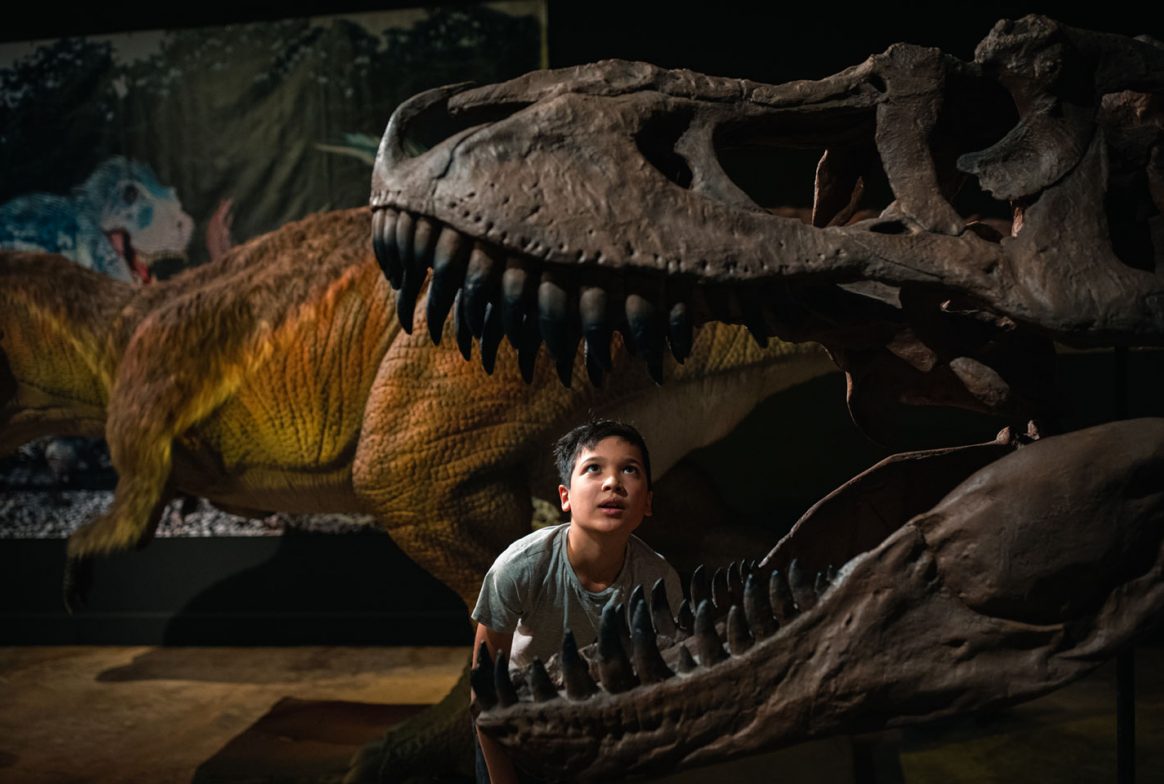 What's On - Horniman Museum and Gardens