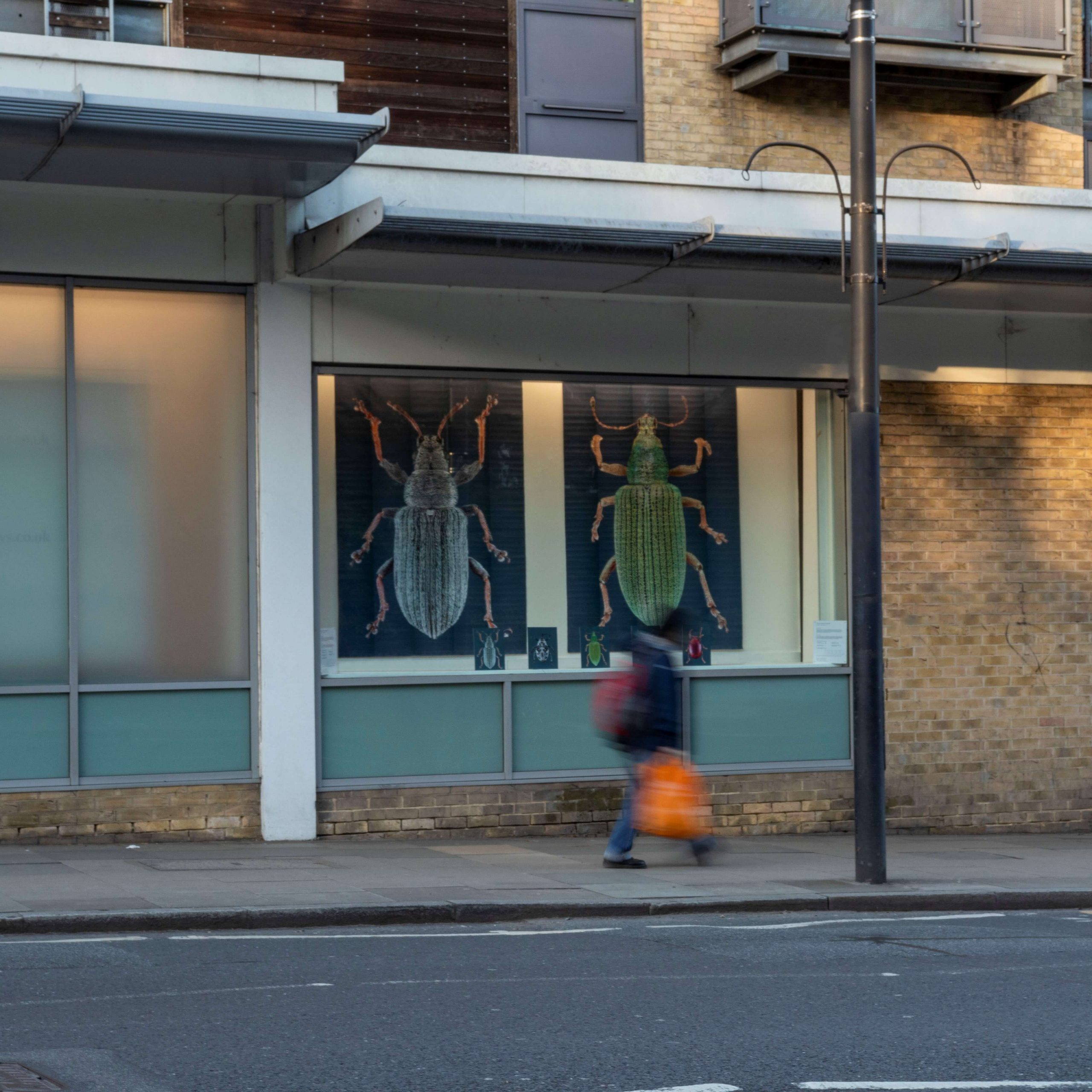 The story of the super macro - Horniman Museum and Gardens